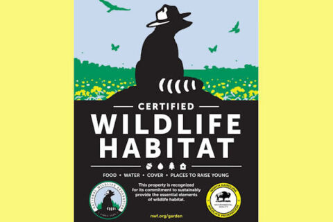 Certified Wildlife Habitat - Beech Mountain, NC